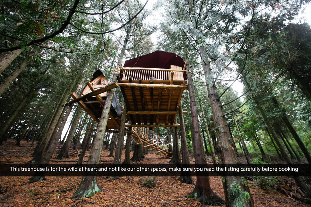 Puckshipton Treehouse | Treehouse in Wiltshire | Canopy & Stars