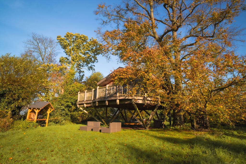 Lime Treehouse | Treehouse in Worcestershire | Canopy & Stars