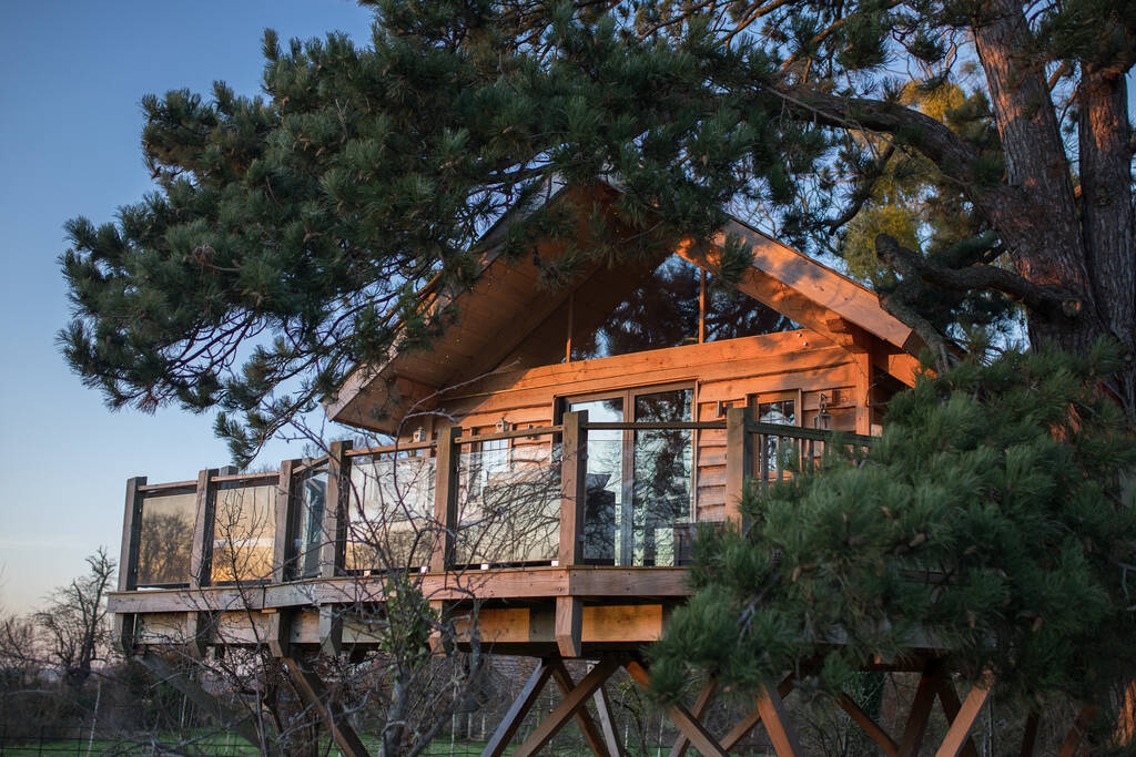 Orchard Treehouse | Treehouse in Worcestershire | Canopy & Stars