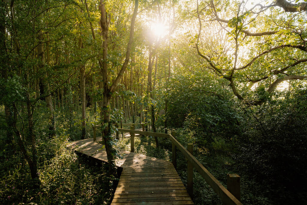 Rufus's Roost | Treehouse in Yorkshire | Canopy & Stars