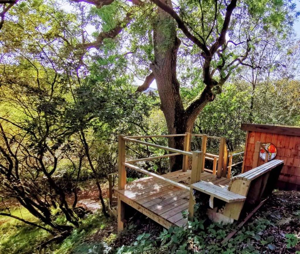 Falling Water | Cabin in Yorkshire | Canopy & Stars