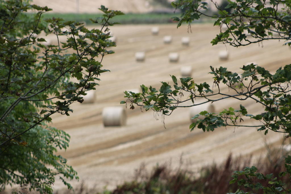 Denend Farmhouse | Bothy in Aberdeenshire | Canopy & Stars