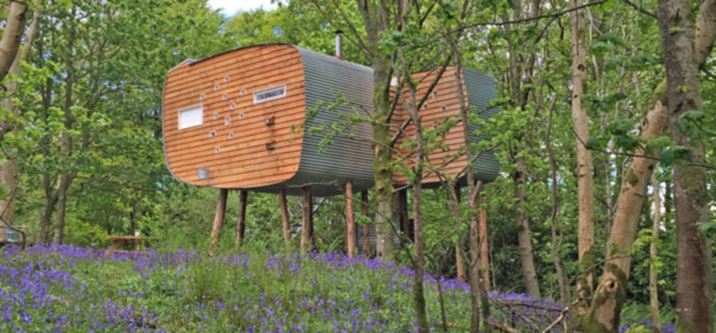 Brockloch Treehouse | Treehouse in Dumfries & Galloway | Canopy & Stars