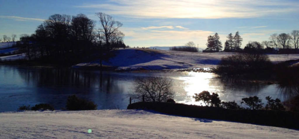 Brockloch Treehouse | Treehouse in Dumfries & Galloway | Canopy & Stars