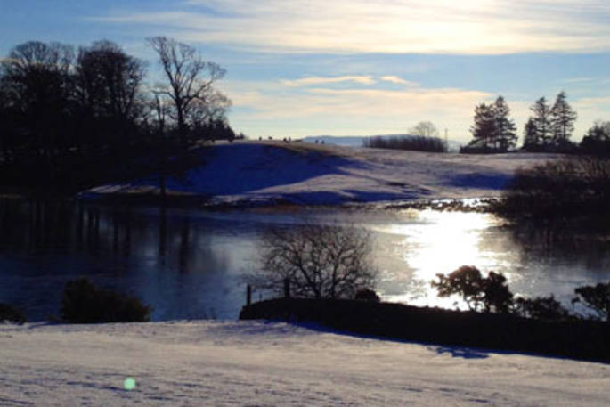 Brockloch Treehouse | Treehouse in Dumfries & Galloway | Canopy & Stars