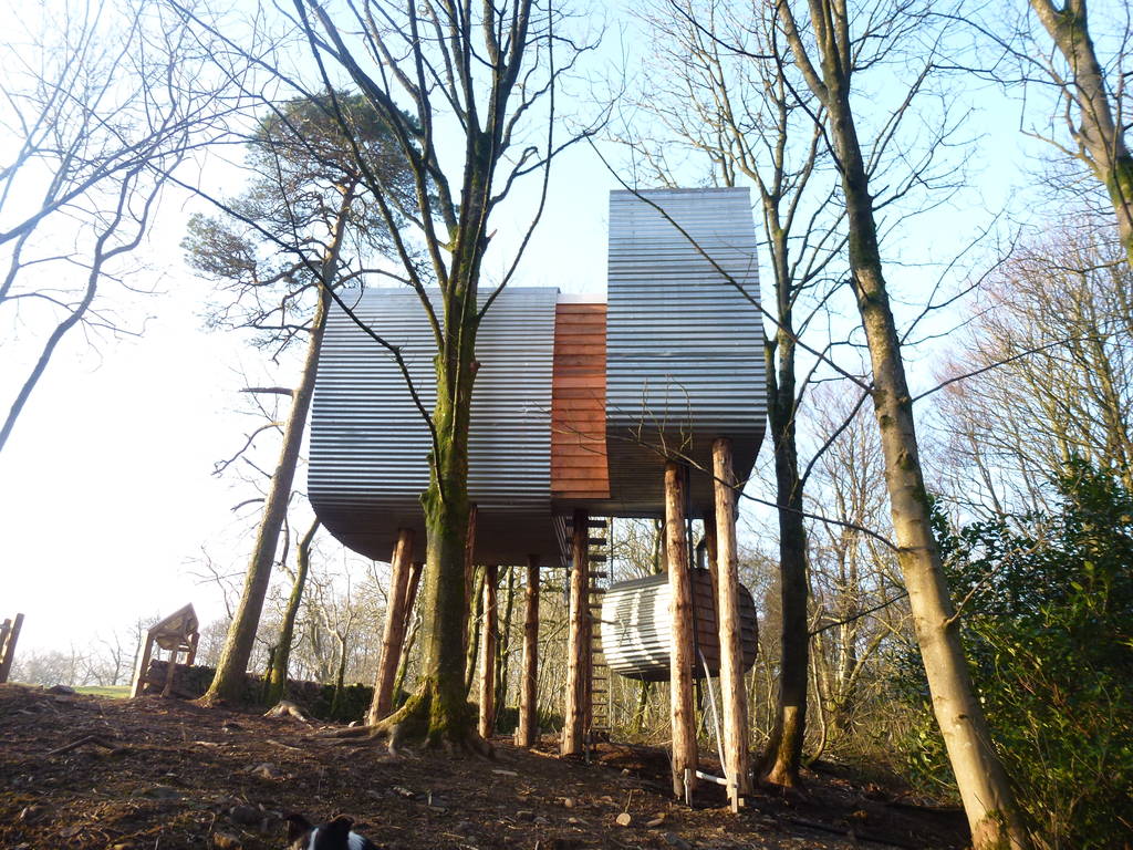 Brockloch Treehouse | Treehouse in Dumfries & Galloway | Canopy & Stars