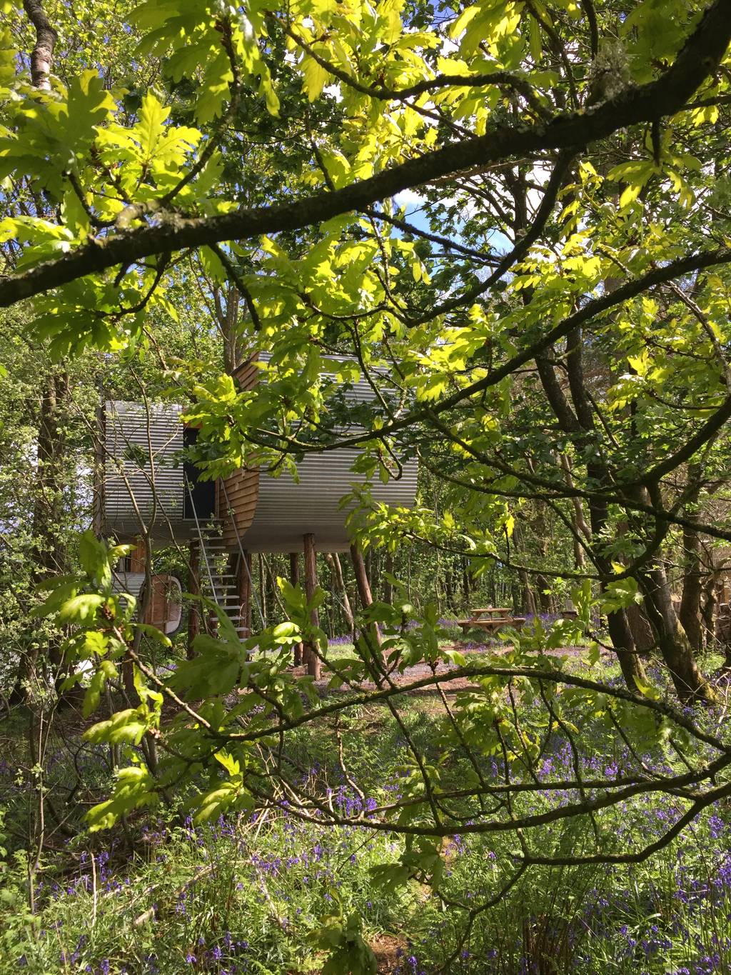 Brockloch Treehouse | Treehouse in Dumfries & Galloway | Canopy & Stars