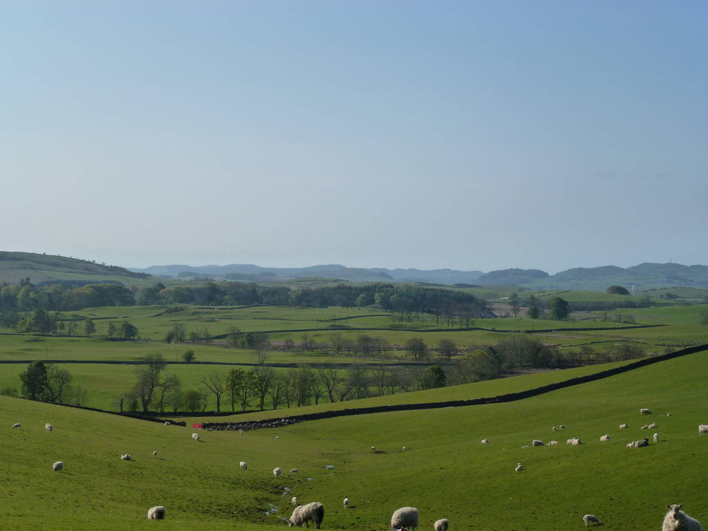 Brockloch Treehouse | Treehouse in Dumfries & Galloway | Canopy & Stars