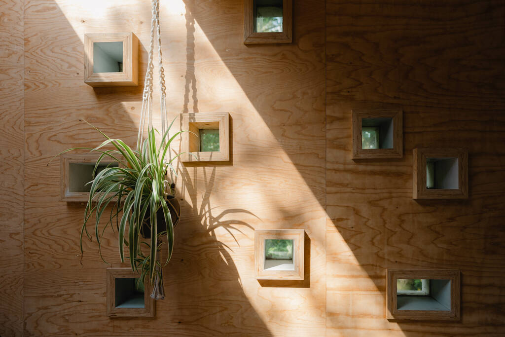 Brockloch Treehouse | Treehouse in Dumfries & Galloway | Canopy & Stars