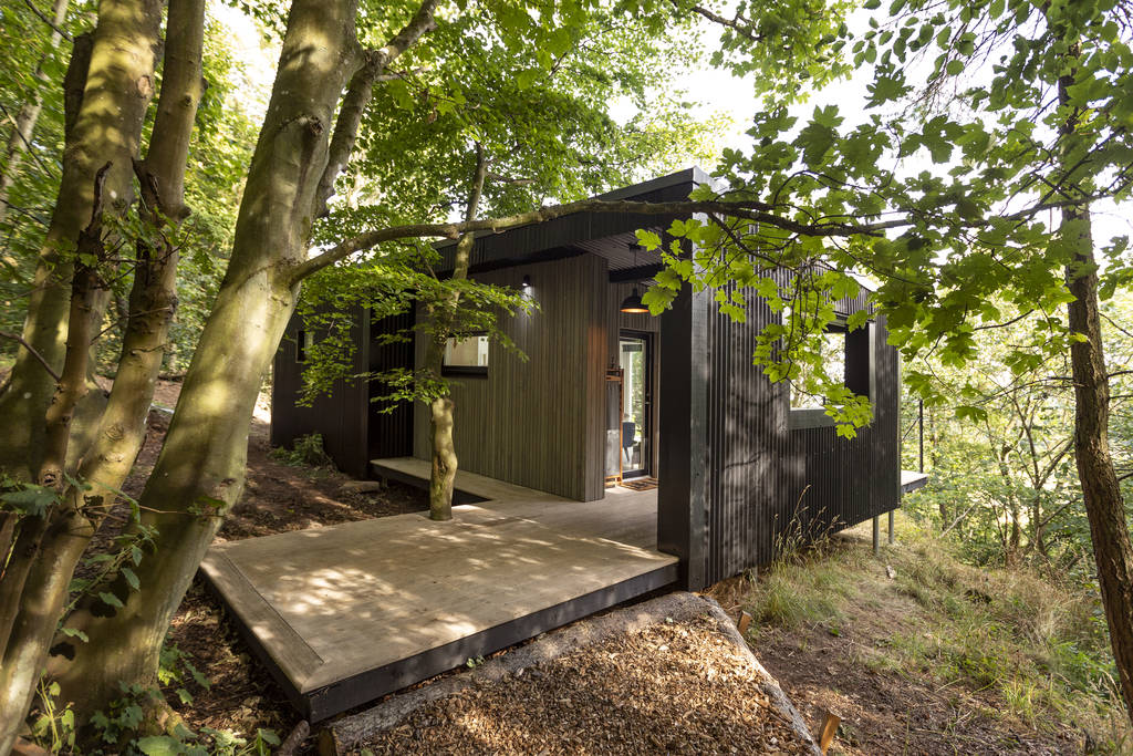 Bracken Treehouse | Treehouse in Fife | Canopy & Stars