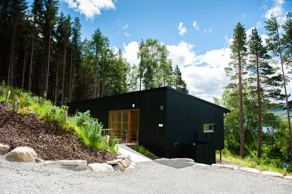 Pine Marten Cabin | Cabin in Highland | Canopy & Stars