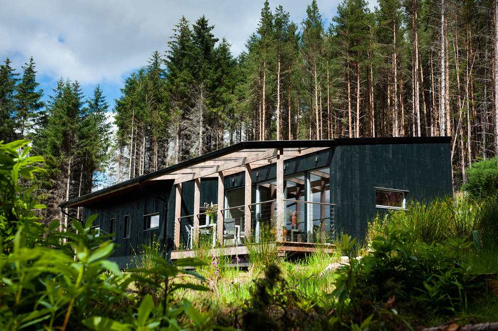 Pine Marten Cabin | Cabin in Highland | Canopy & Stars