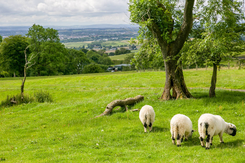 Burnhead Bothies | Cabin in Lanarkshire | Canopy & Stars