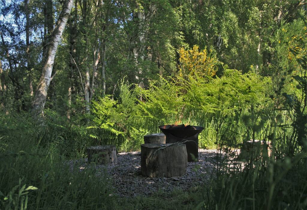 Culbin Edge | Cabin in Moray | Canopy & Stars