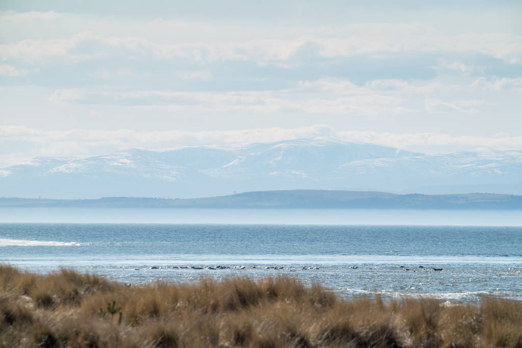 Culbin Edge | Cabin in Moray | Canopy & Stars