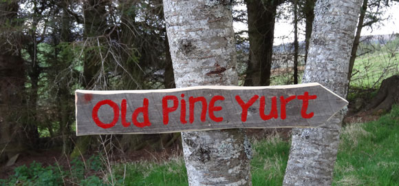 Old Pine Yurt | Moray | Canopy & Stars