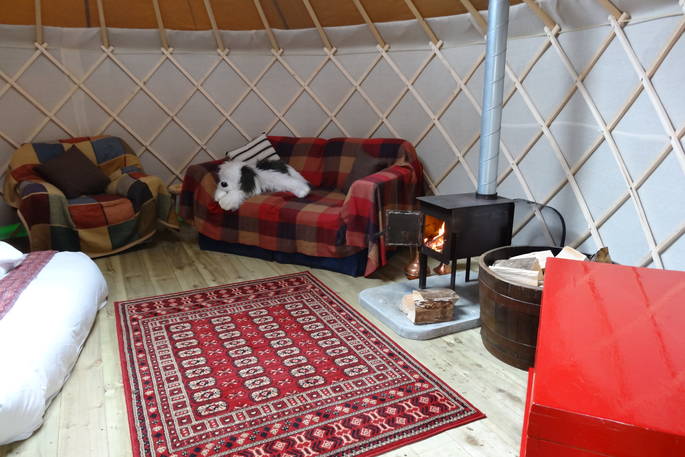 Old Pine Yurt | Yurt in Moray | Canopy & Stars