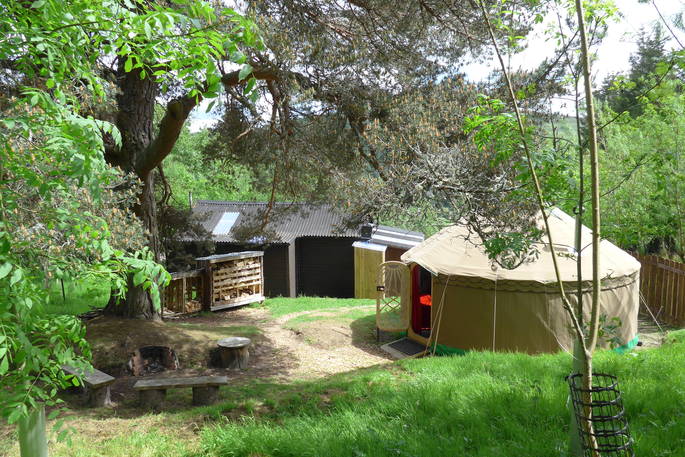Old Pine Yurt | Yurt in Moray | Canopy & Stars
