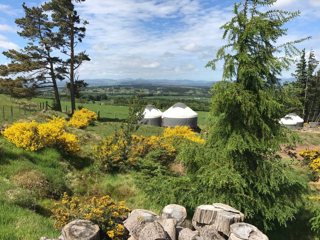 Heather Yurt | Yurt in Perth & Kinross | Canopy & Stars