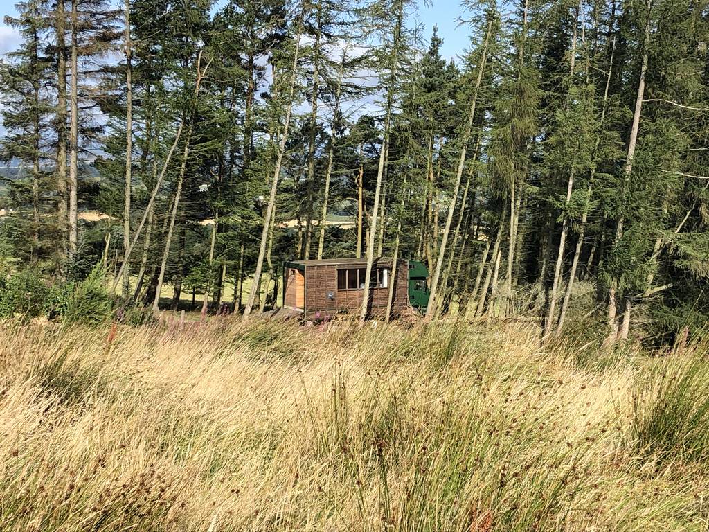 Juniper | Horsebox in Perth & Kinross | Canopy & Stars