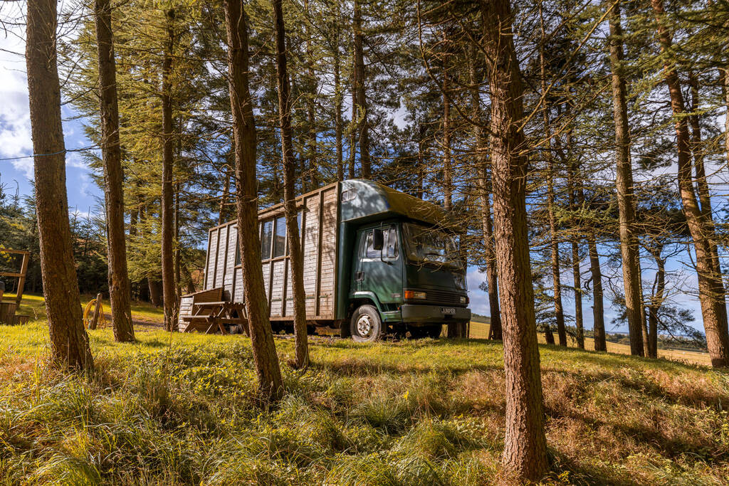 Juniper | Horsebox in Perth & Kinross | Canopy & Stars