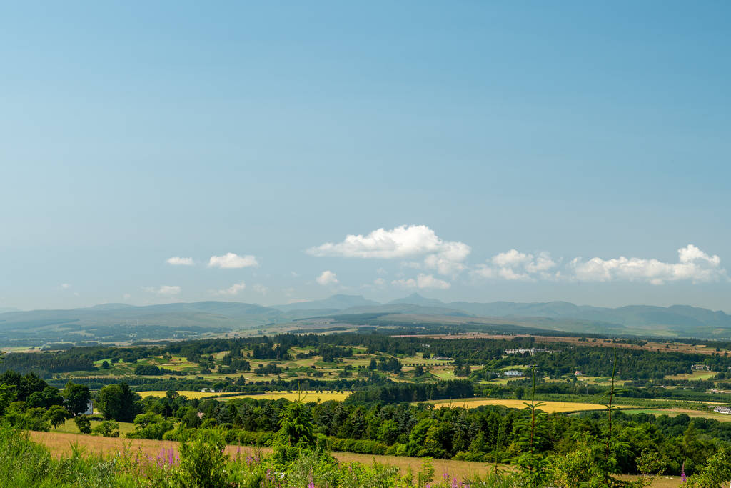 Thistle | Horsebox in Perth & Kinross | Canopy & Stars