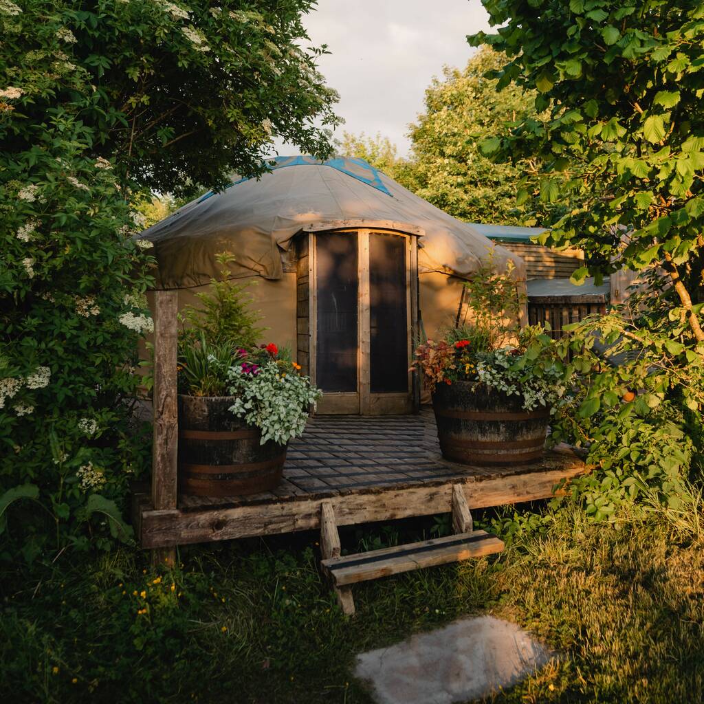 Chalybeate Yurt | Yurt in Scottish Borders | Canopy & Stars