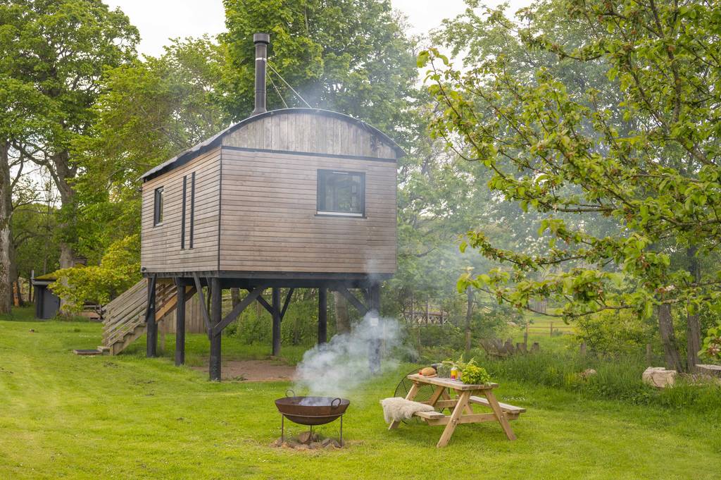Stilt House | Treehouse in Scottish Borders | Canopy & Stars