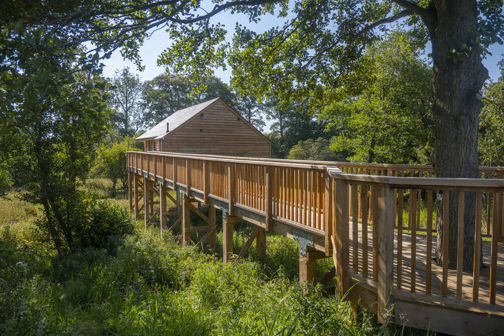 Sandystones Treehouse | Treehouse in Scottish Borders | Canopy & Stars