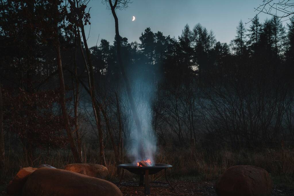 Brock | Cabin in Stirling | Canopy & Stars