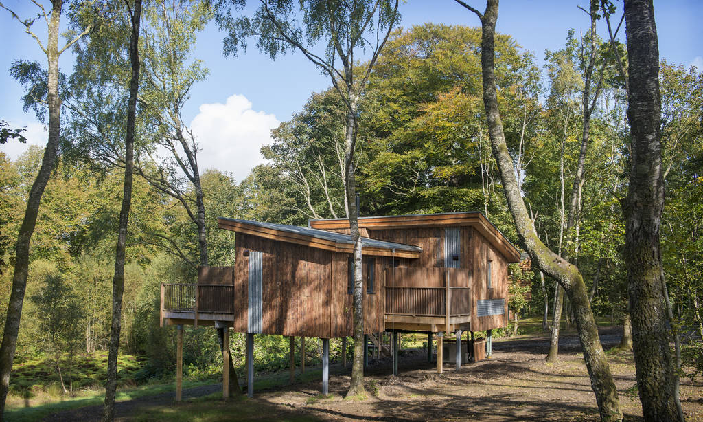Treecreeper Treehouse | Treehouse in Stirling | Canopy & Stars