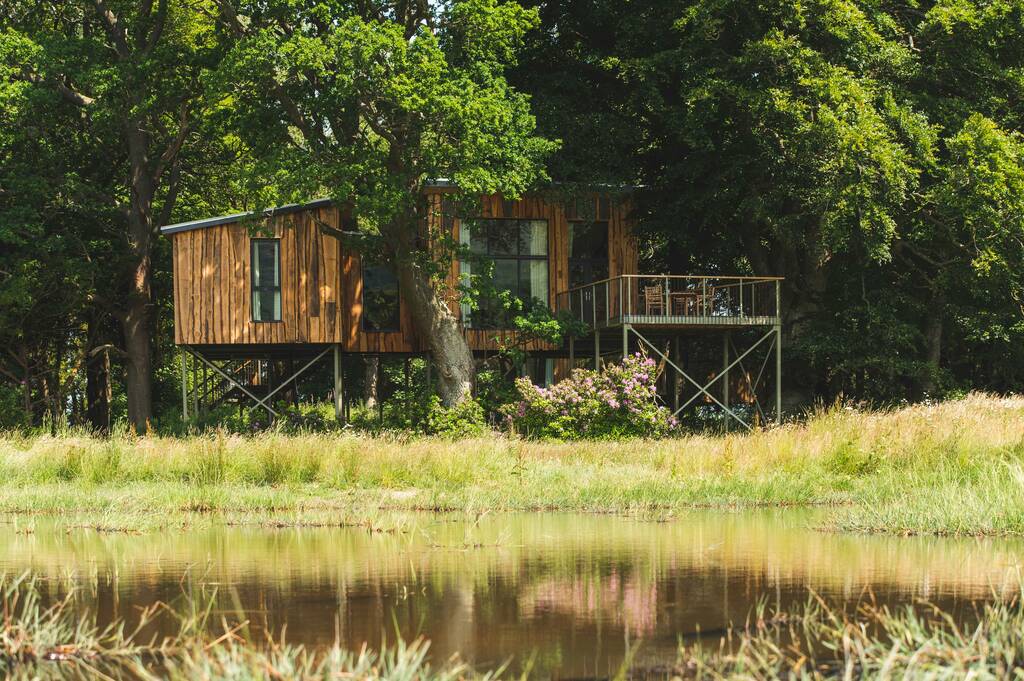 Siskin | Treehouse in Stirling | Canopy & Stars