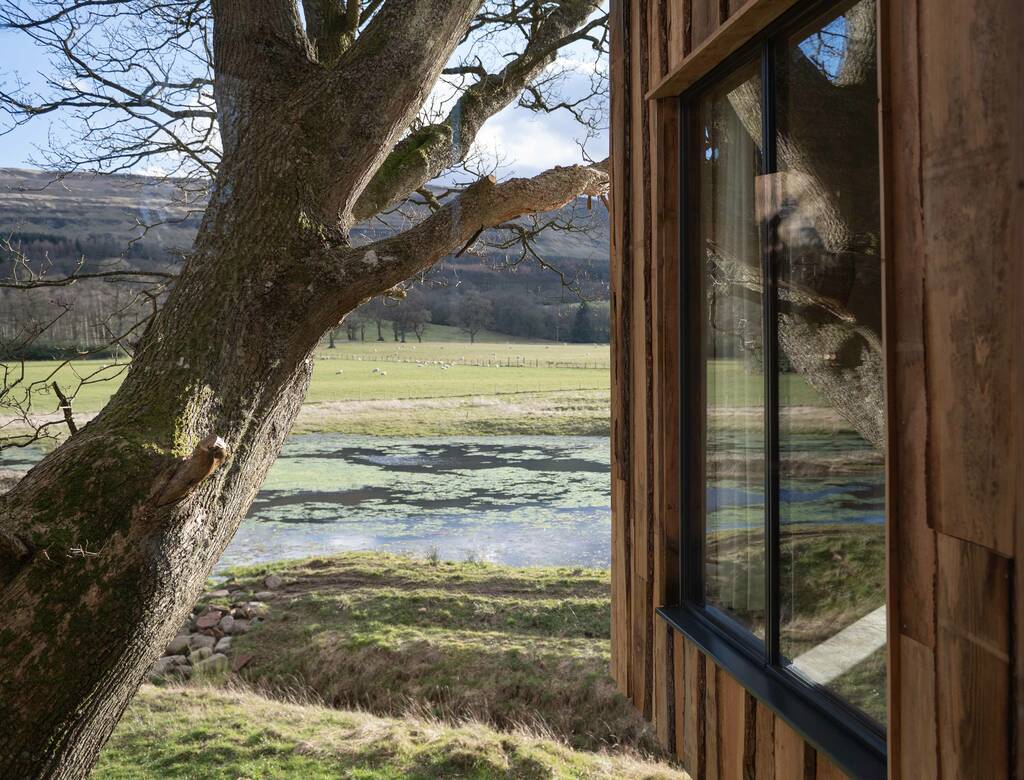 Siskin | Treehouse in Stirling | Canopy & Stars