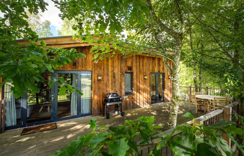 Flycatcher Treehouse | Treehouse in Stirling | Canopy & Stars