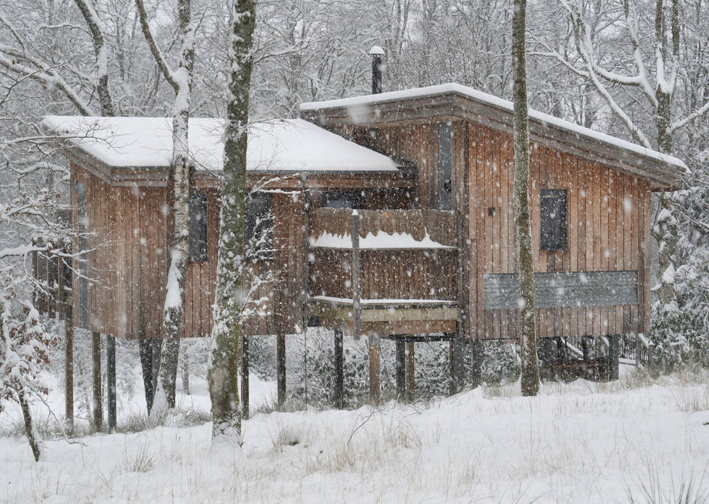 Treecreeper Treehouse | Treehouse in Stirling | Canopy & Stars