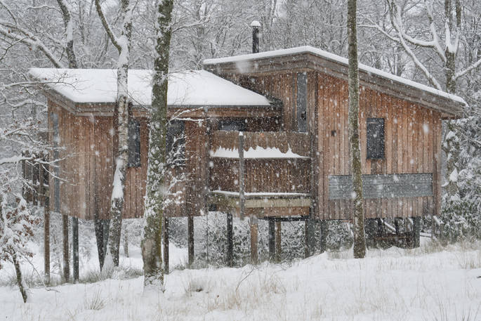Treecreeper Treehouse | Treehouse in Stirling | Canopy & Stars