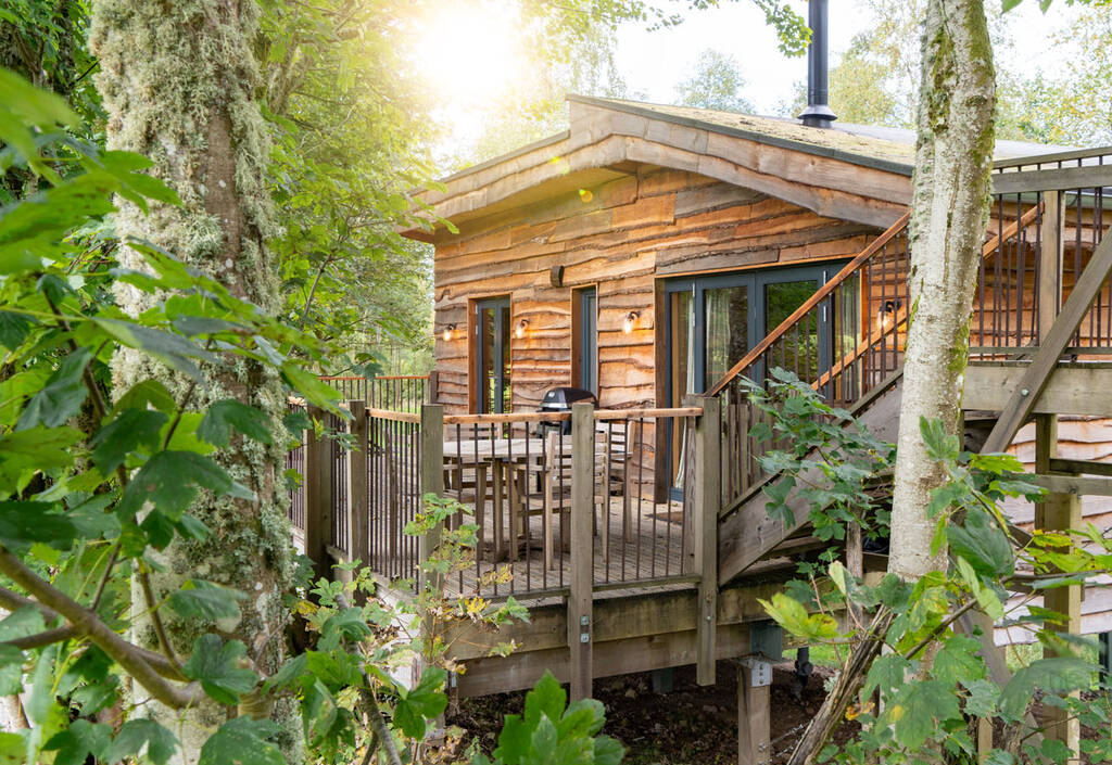 Willow Warbler Treehouse | Treehouse in Stirling | Canopy & Stars