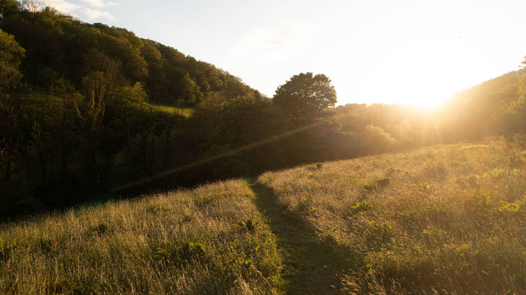 Y Caban | Cabin in Pembrokeshire | Canopy & Stars