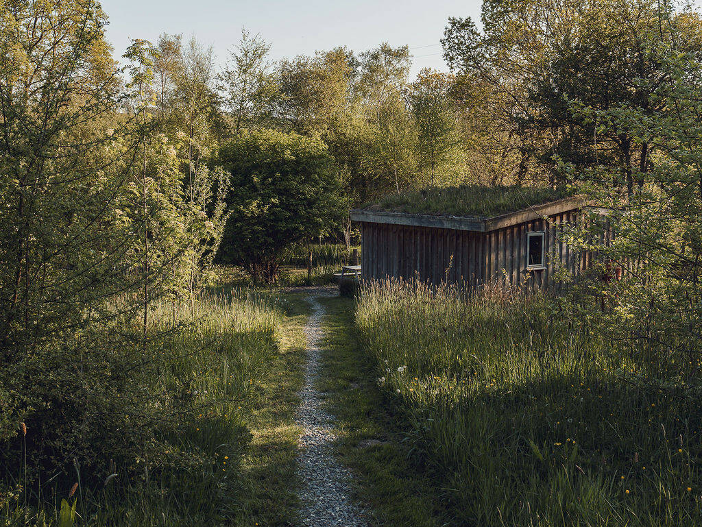 The Den | Cabin in Ceredigion | Canopy & Stars