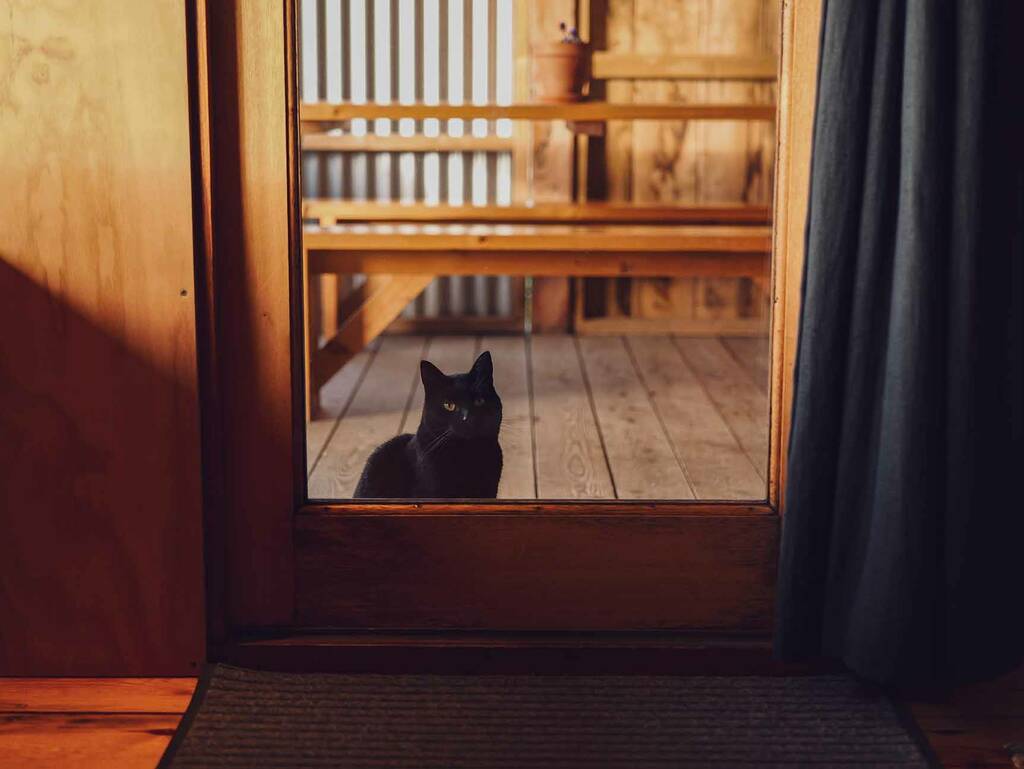 The Hide | Cabin in Ceredigion | Canopy & Stars