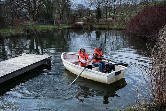 One Cat Farm | Ceredigion | Canopy & Stars