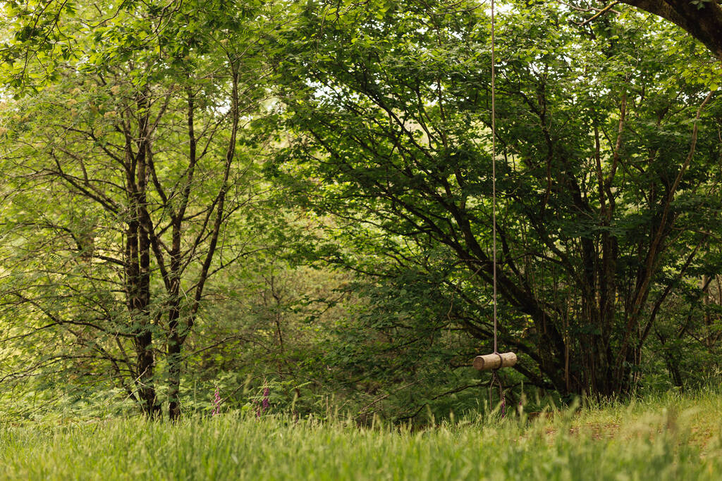 Ty'r Derw Treehouse | Treehouse in Ceredigion | Canopy & Stars