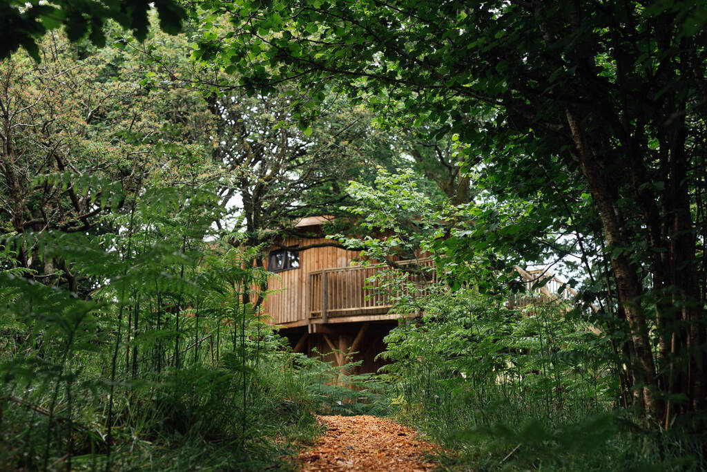 Ty'r Derw Treehouse | Treehouse in Ceredigion | Canopy & Stars