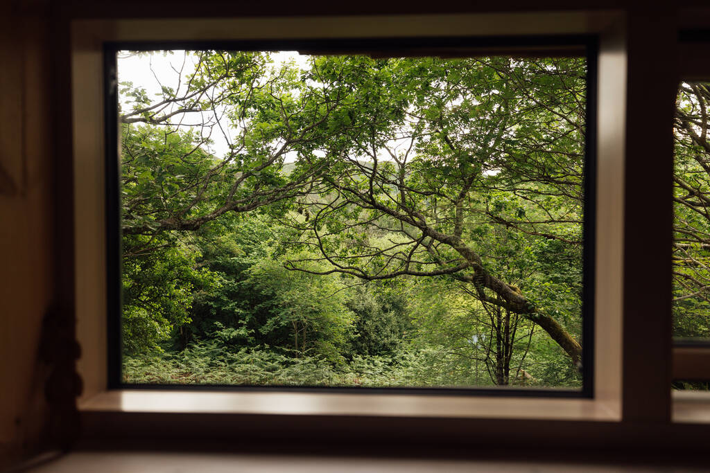 Ty'r Derw Treehouse | Treehouse in Ceredigion | Canopy & Stars