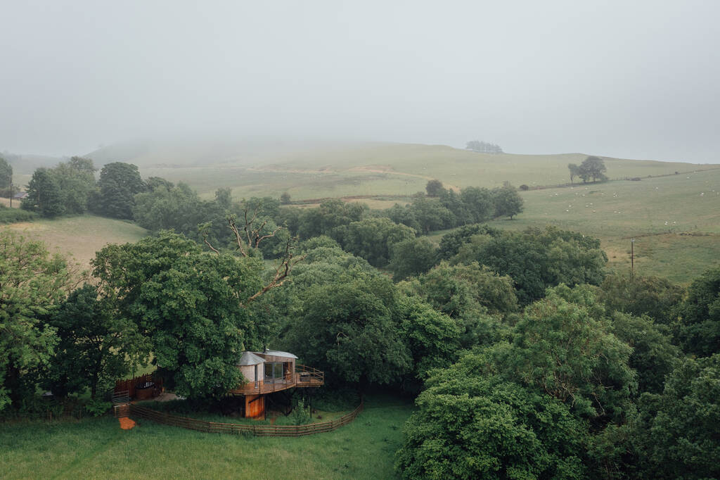 Ty'r Onnen Treehouse | Treehouse in Ceredigion | Canopy & Stars
