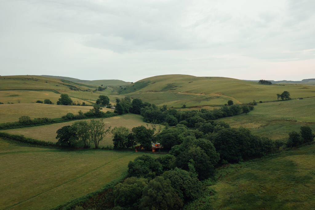 Ty'r Onnen Treehouse | Treehouse in Ceredigion | Canopy & Stars