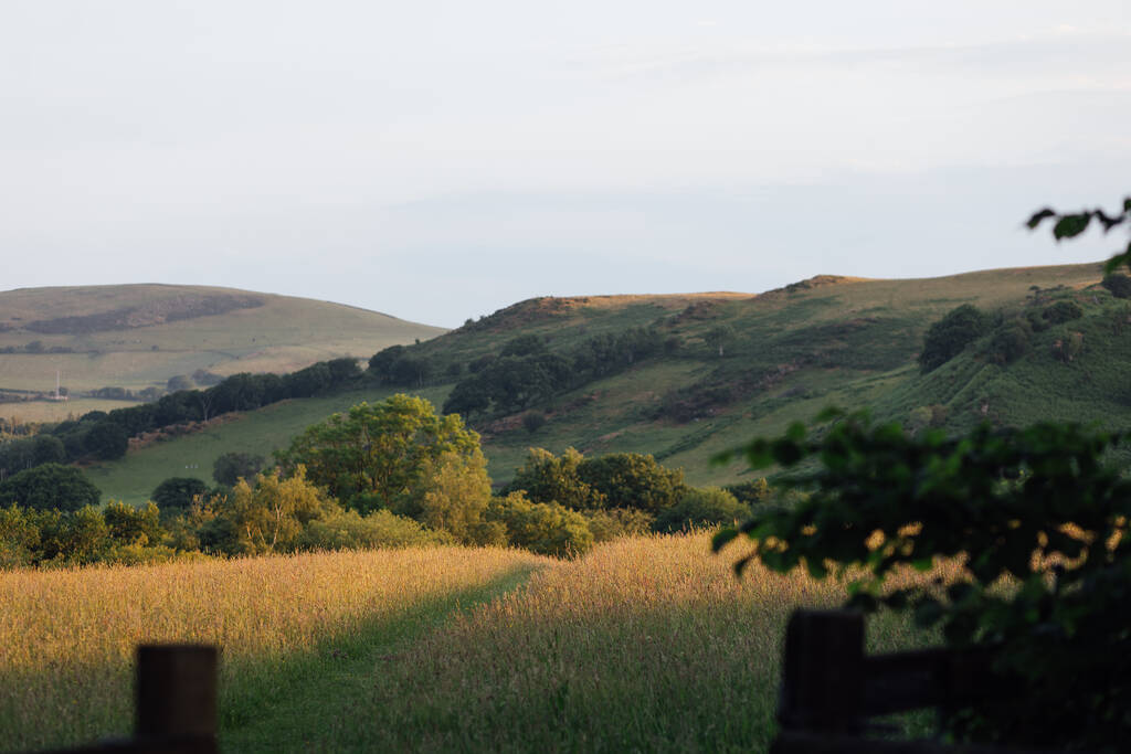 Ty'r Onnen Treehouse | Treehouse in Ceredigion | Canopy & Stars