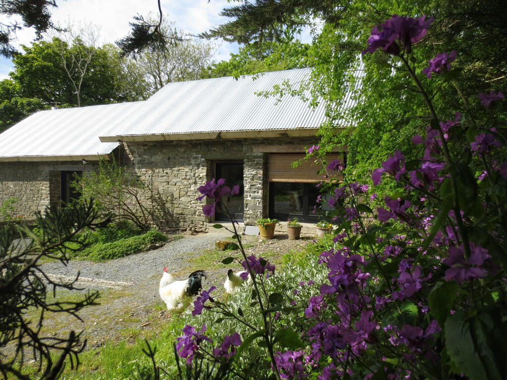 Cuddfan at Wildernest | Cabin in Ceredigion | Canopy & Stars