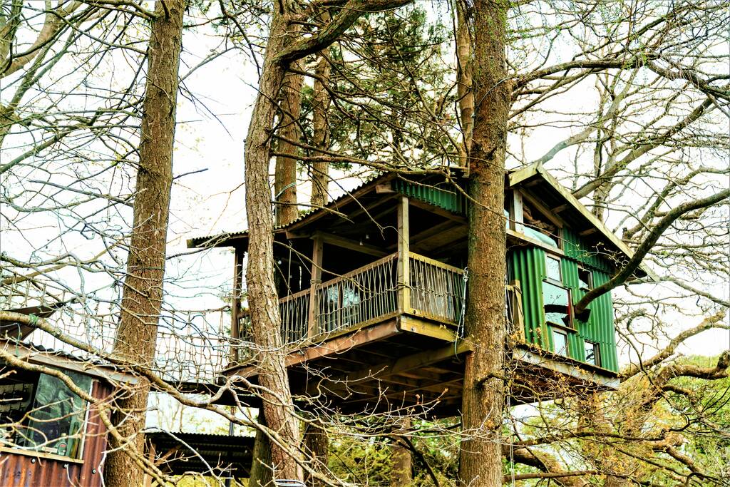 Copse Camp | Treehouse in Denbighshire | Canopy & Stars
