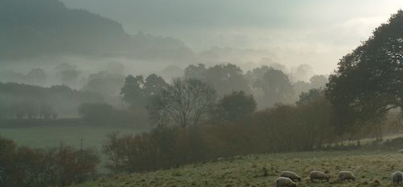 The Cabin | Dyfed | Canopy & Stars